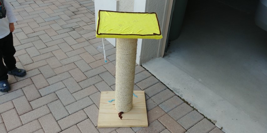 Making A Cat Scratching Post with a bed on top - Spark ALC